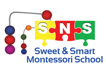 SNS - Envision Web Development - Florida Web Design Company